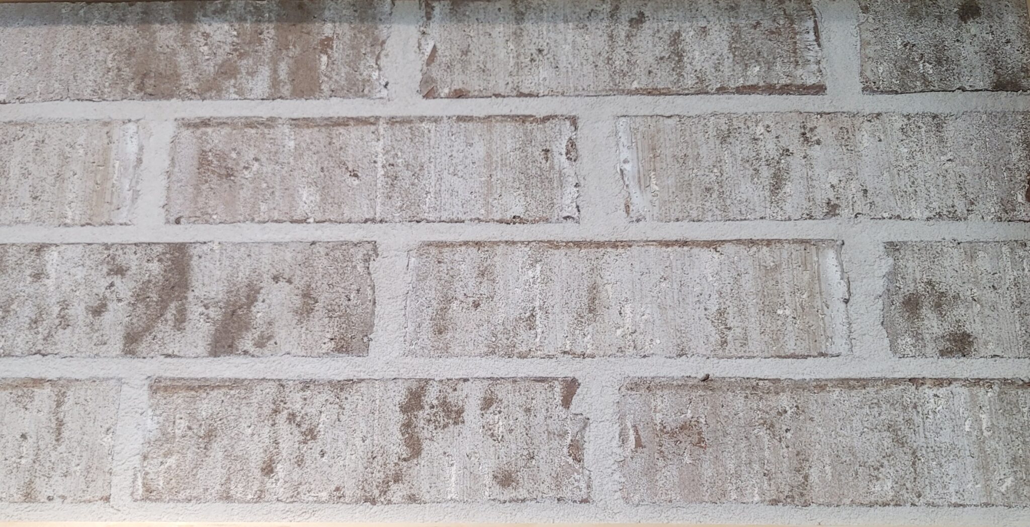 Magnolia - Mike Baker Brick